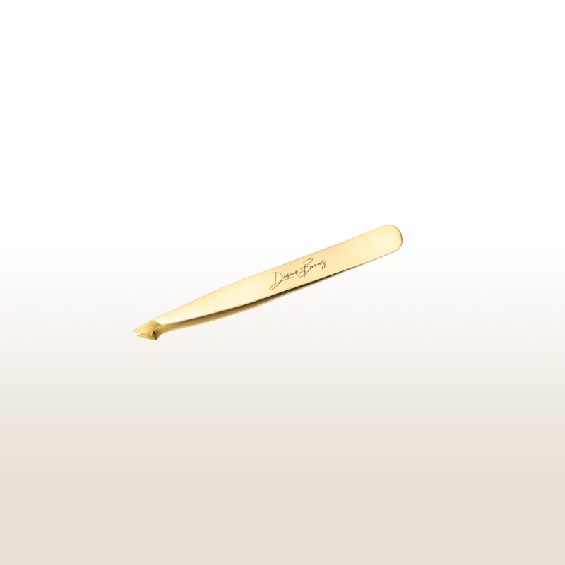 Diana Brows | Your Favorite Brow Artist